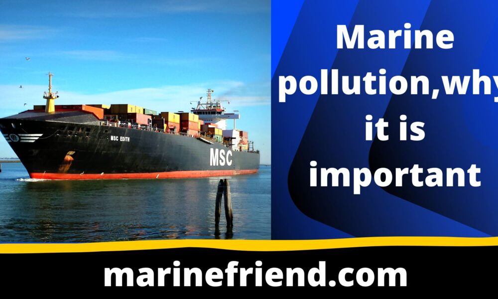 Marine pollution,why it is important to look towards it. - marine ...